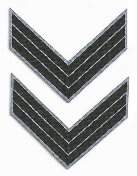 1:6 scale CSA Army of Tennessee Rank Chevron Set 02: Sergeant | ONE ...