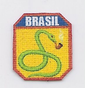 1:6 scale Brazilian Expeditionary Force Sleeve Patch | ONE SIXTH SCALE ...